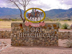 Based on your own experiences, what advice would you give to those who ...